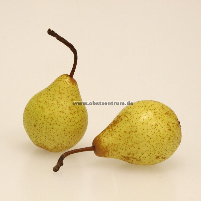 Birnbaum 'Mini Sugar' - zuckersüße Birne / Shop BayOZ